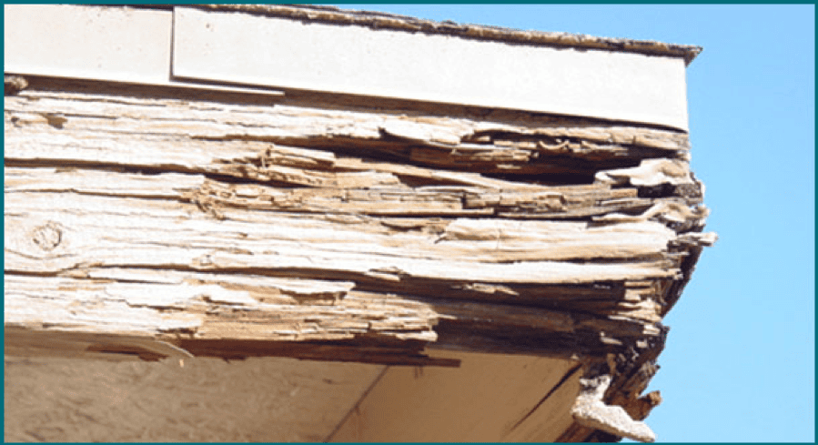 How To Perform Wood Rot Repair in Overland Park | Residential Solutions